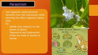 Interactions in a terrestrial ecosystem | PPTX