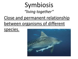 Interactions in Communities | PPT