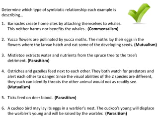 Interactions in Communities | PPT