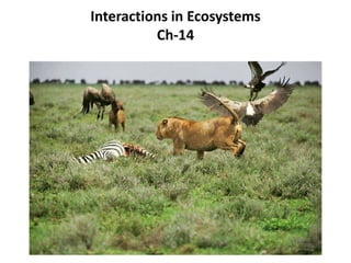 Interactions in Ecosystems ch 14 | PPTX