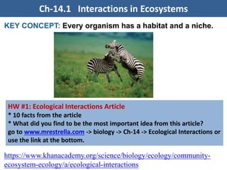 Interactions in Ecosystems ch 14 | PPTX