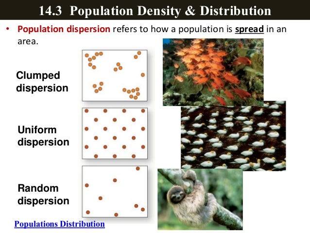 Interactions in Ecosystems ch 14
