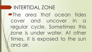 INTERACTIONS IN ESTUARIES iuytfesrdtfgjhk.pptx