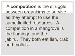 Interactions in the ecosystem | PPT