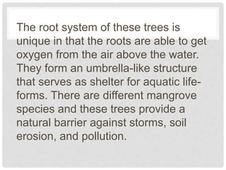 Interactions in the ecosystem | PPT