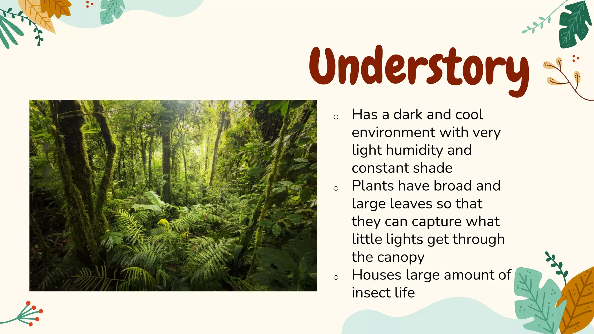 Interactions in Tropical Rainforests.pdf