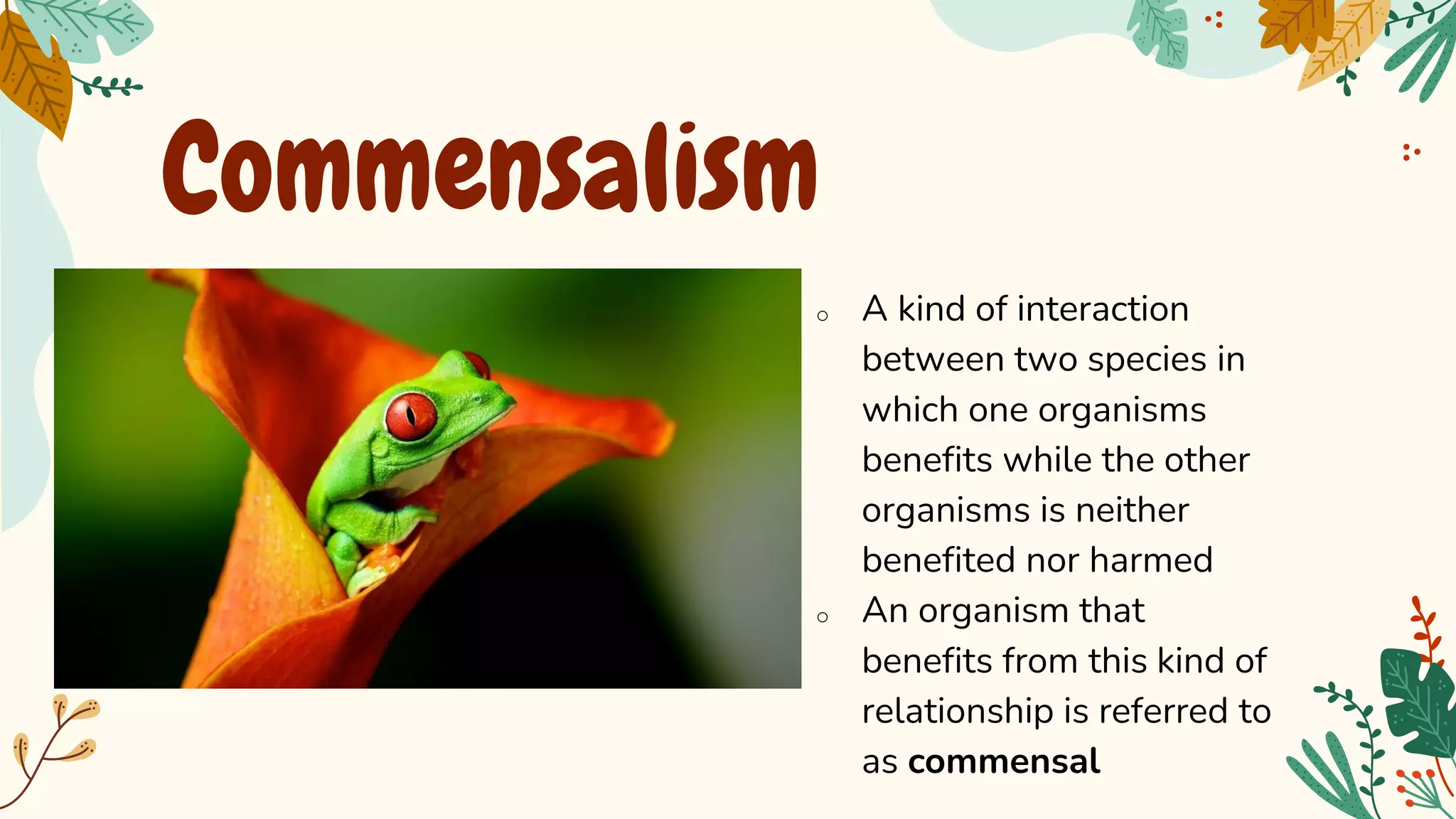Interactions in Tropical Rainforests.pdf
