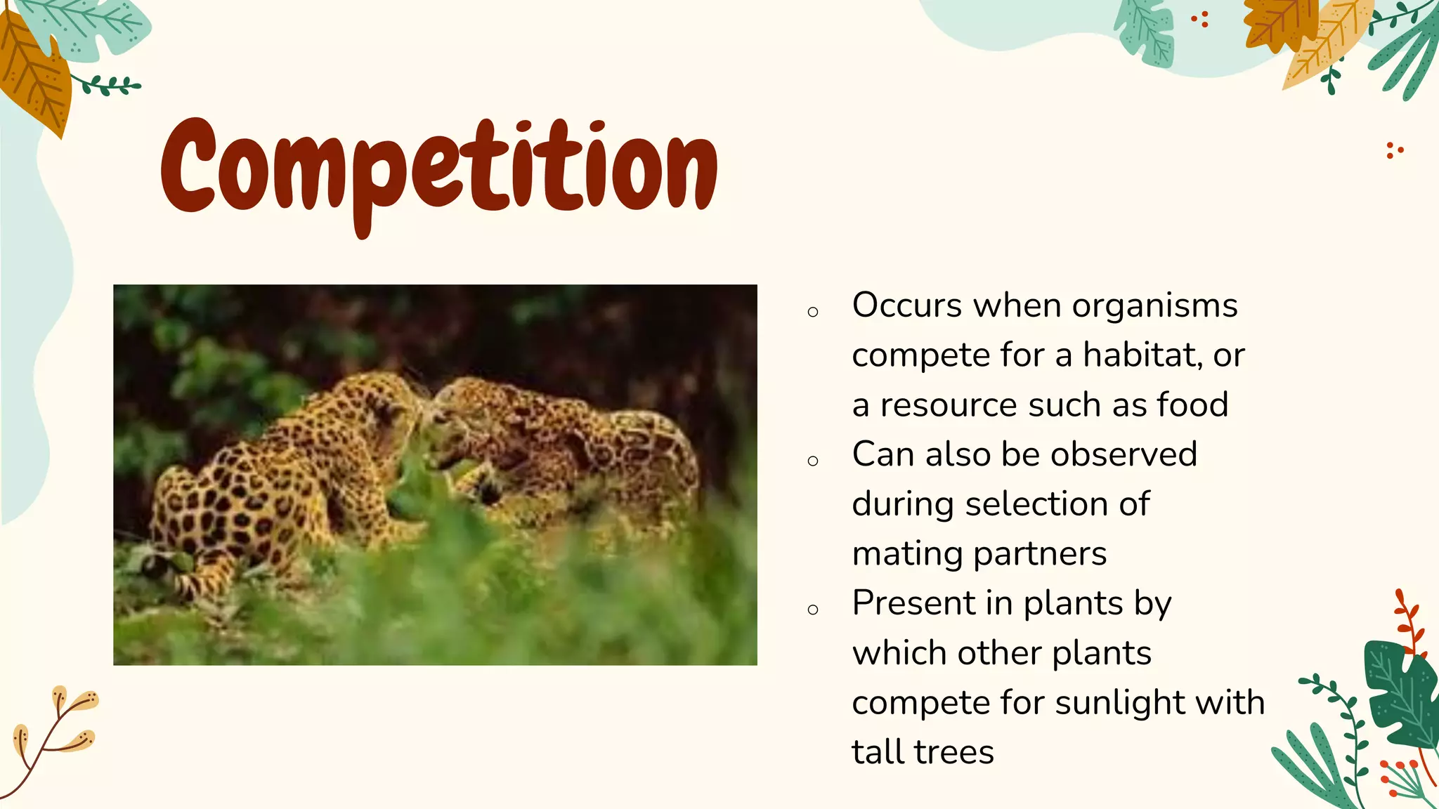 Interactions in Tropical Rainforests.pdf