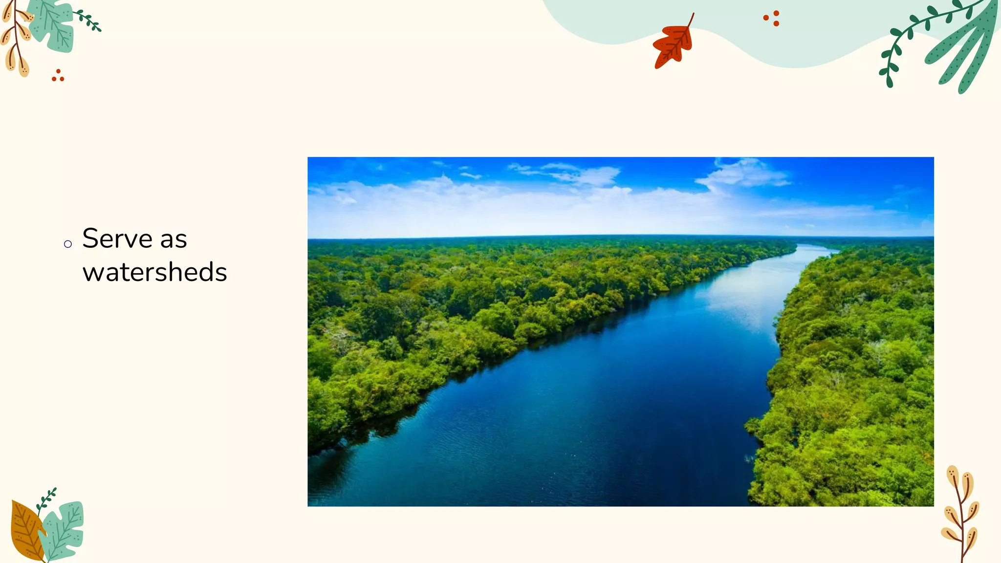 Interactions in Tropical Rainforests.pdf