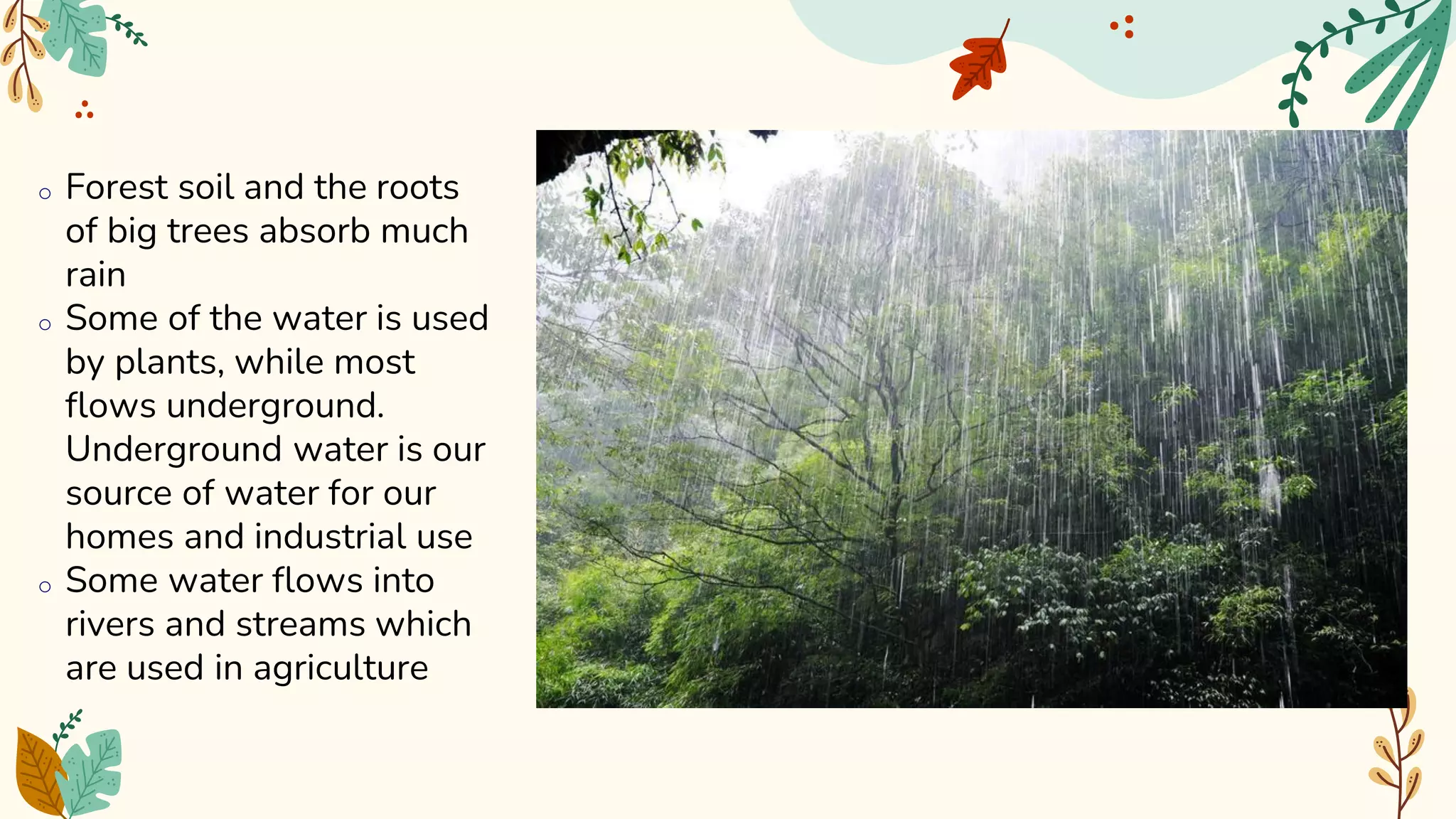 Interactions in Tropical Rainforests.pdf