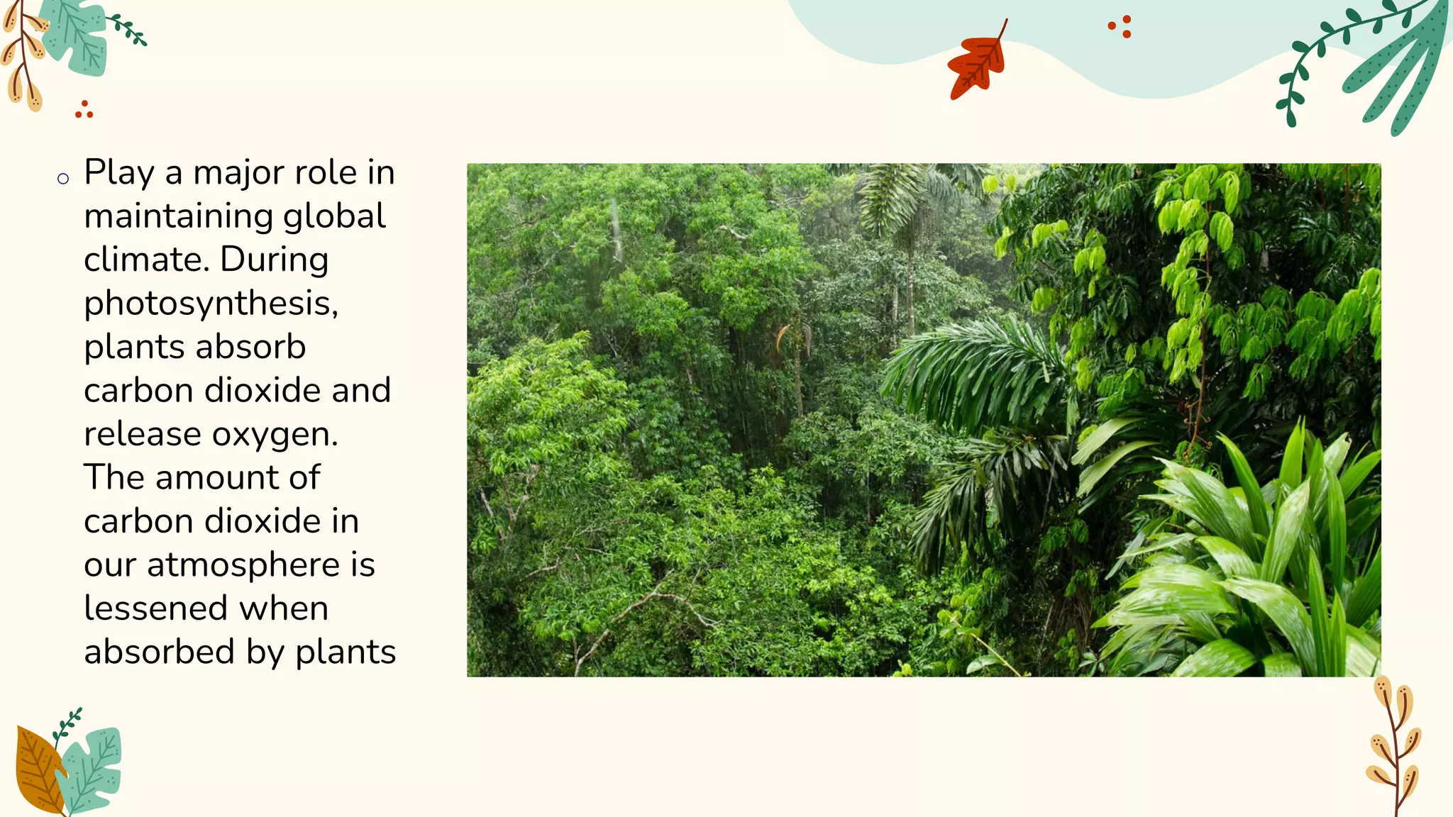 Interactions in Tropical Rainforests.pdf