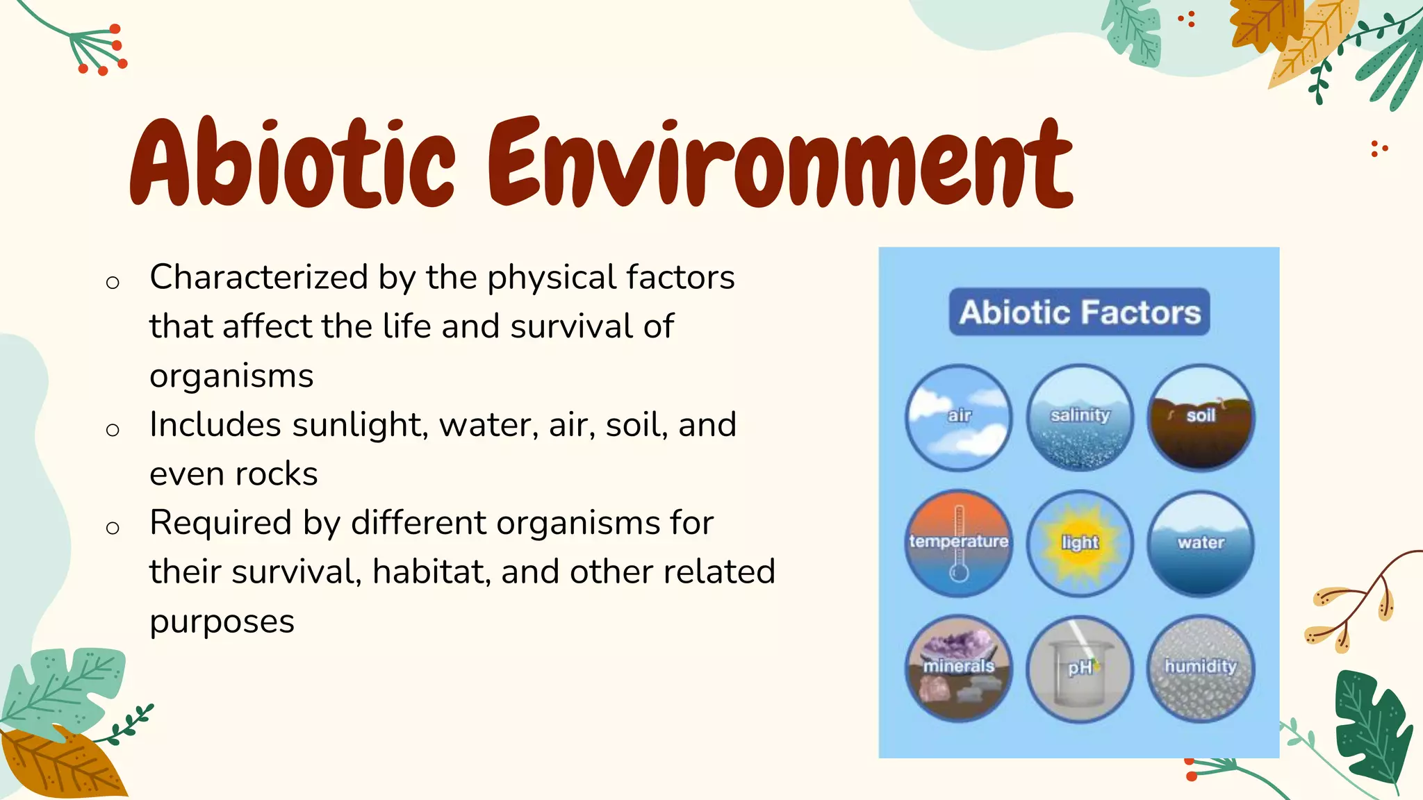 Interactions in Tropical Rainforests.pdf