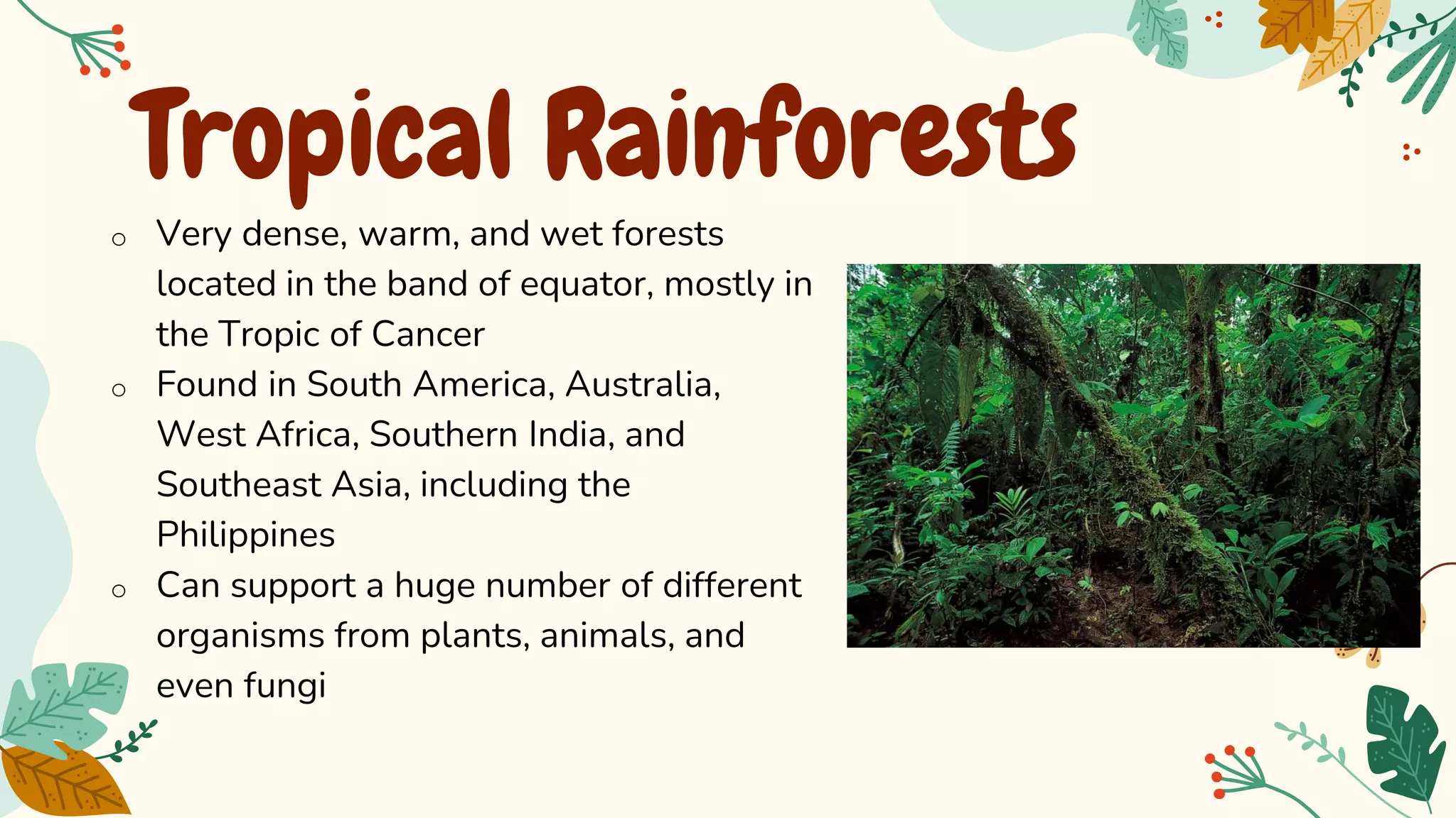 Interactions in Tropical Rainforests.pdf