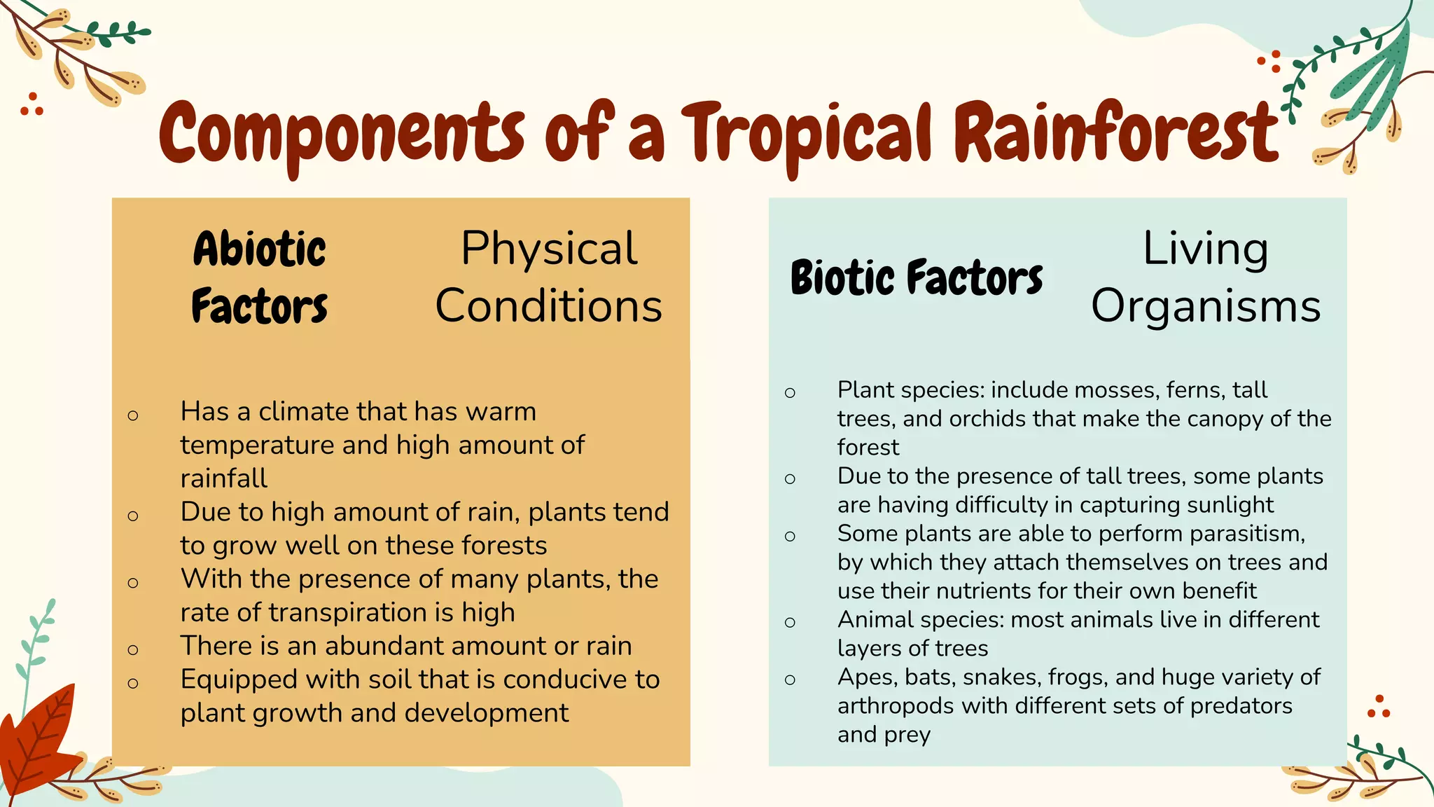 Interactions in Tropical Rainforests.pdf