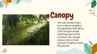 Interactions in Tropical Rainforests.pdf
