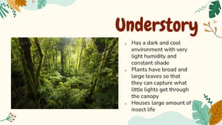 Interactions in Tropical Rainforests.pdf
