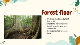 Interactions in Tropical Rainforests.pdf