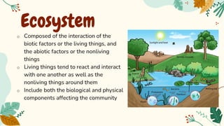 Interactions in Tropical Rainforests.pdf