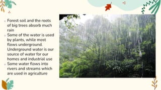 Interactions in Tropical Rainforests.pdf
