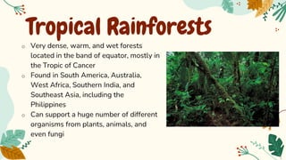 Interactions in Tropical Rainforests.pdf