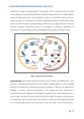 Interactions Involving Microorganisms | PDF