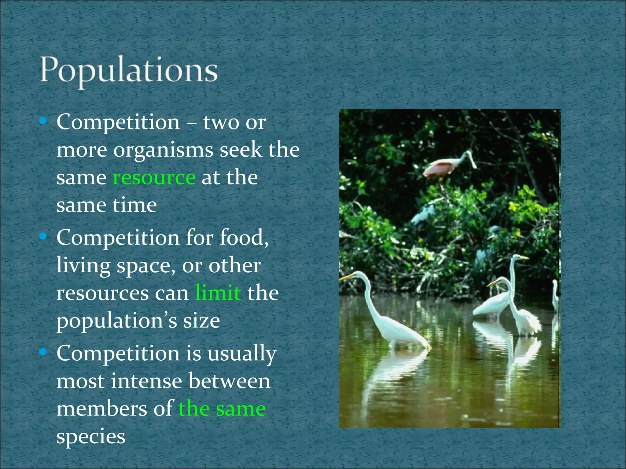 Interactions Of Life Ppt | PPT