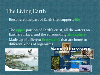 Interactions Of Life Ppt | PPT