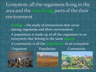 Interactions Of Life Ppt | PPT