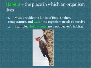 Interactions Of Life Ppt | PPT