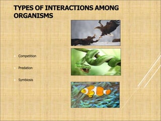 interactionsoforganisms-180323200310.ppt.pptx