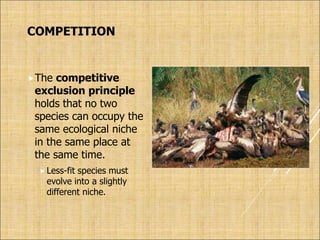 interactionsoforganisms-180323200310.ppt.pptx