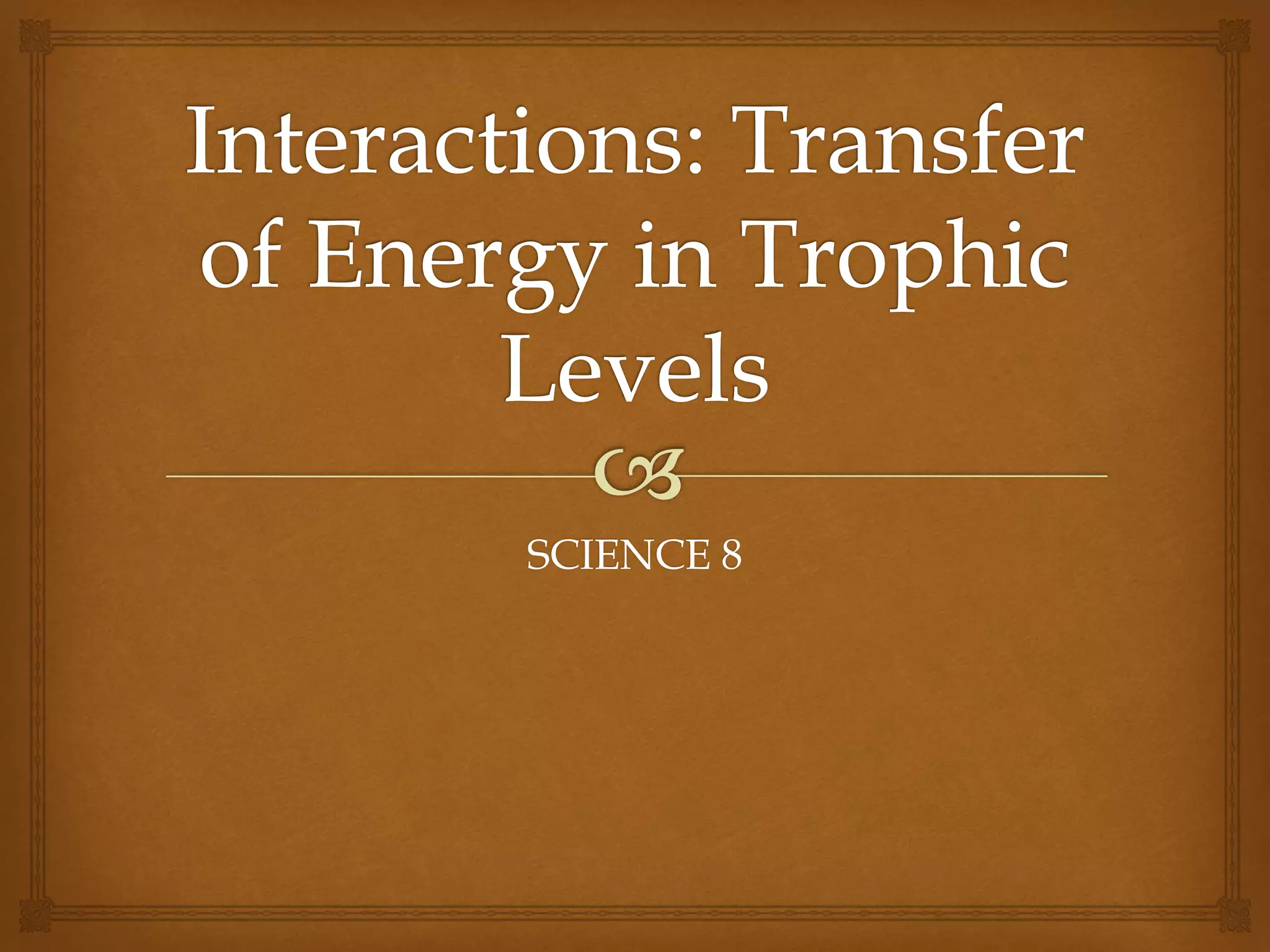 Interactions:Transfer of Energy in Trophic Levels, Prepared by: Edsyl ...