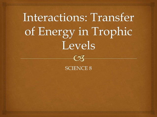 Interactions:Transfer of Energy in Trophic Levels, Prepared by: Edsyl ...