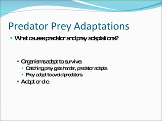 Interactions Review | PPT