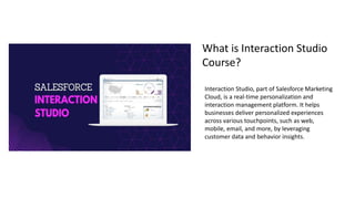 Salesforce Interaction Studio Course in Bangalore | PPT