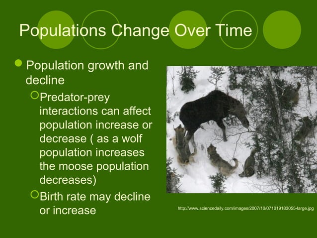 Sample PPT on Interactions Within Ecosystems.ppt
