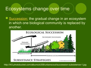 Sample PPT on Interactions Within Ecosystems.ppt