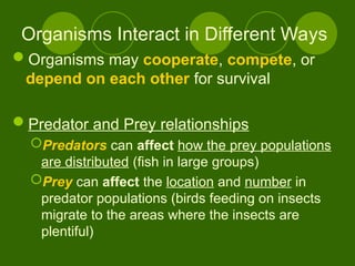 Sample PPT on Interactions Within Ecosystems.ppt