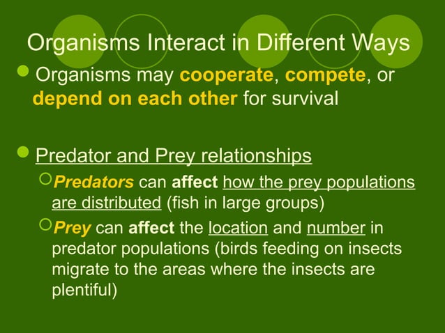 Sample PPT on Interactions Within Ecosystems.ppt