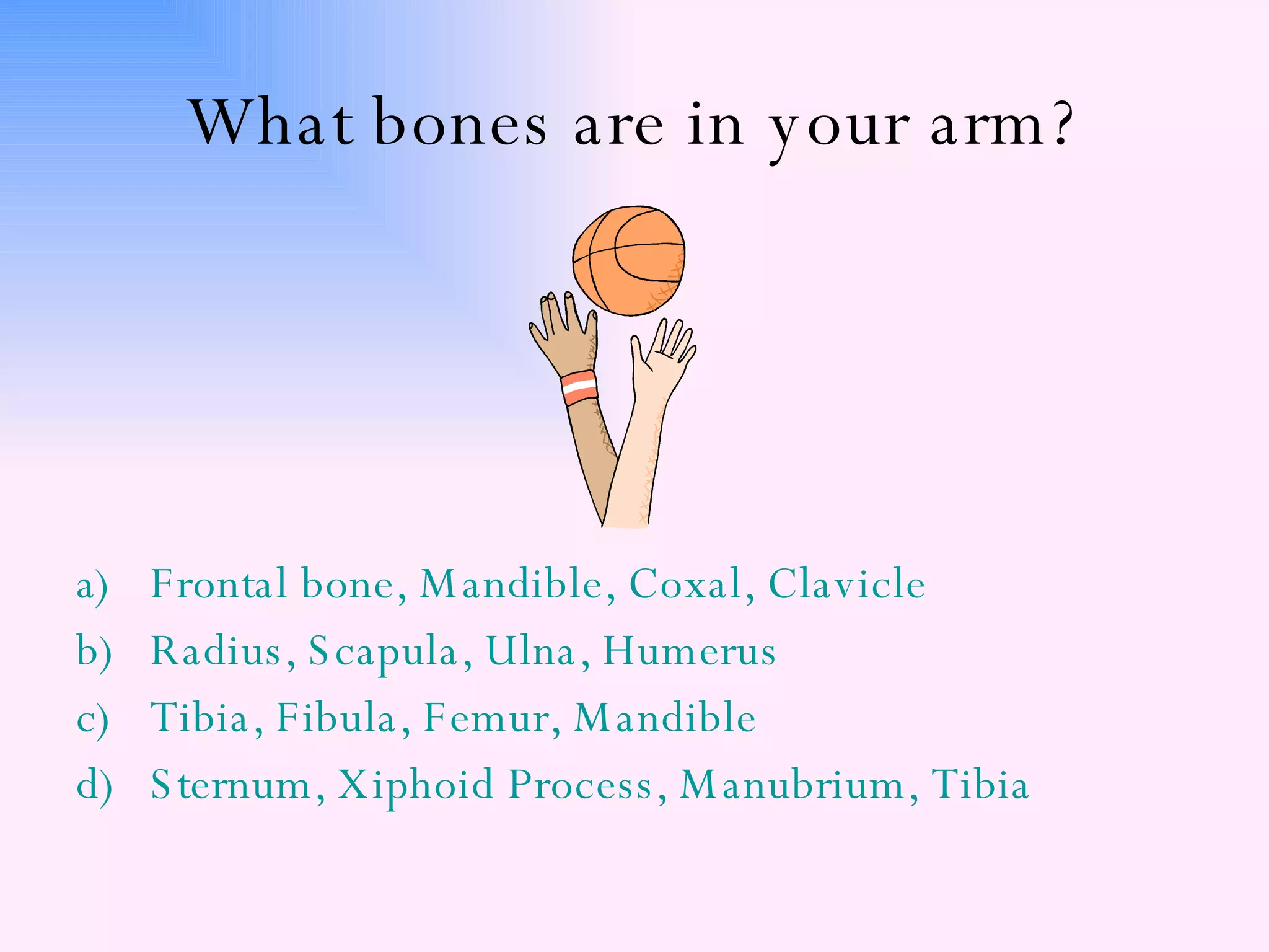 Learn Your Major Bones | PPT