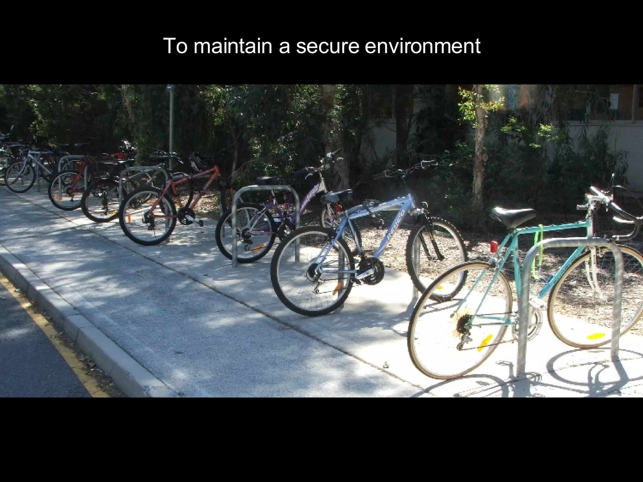 Interactive Essay | PPT