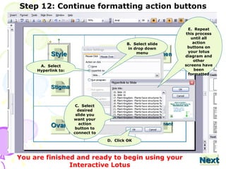 Interactive lotus-diagram-powerpoint-instructions(2) | PPT