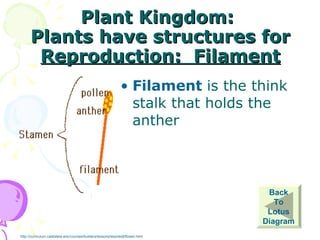 Interactive lotus-diagram-powerpoint-instructions(2) | PPT
