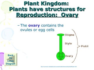 Interactive lotus-diagram-powerpoint-instructions(2) | PPT