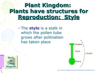 Interactive lotus-diagram-powerpoint-instructions(2) | PPT