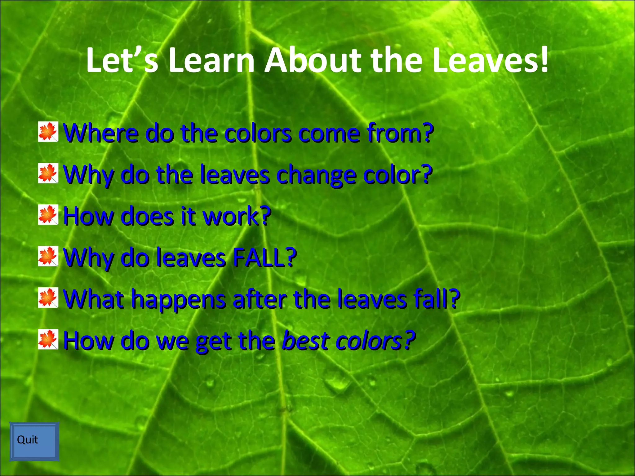 The Changing Leaves of Autumn | PPT