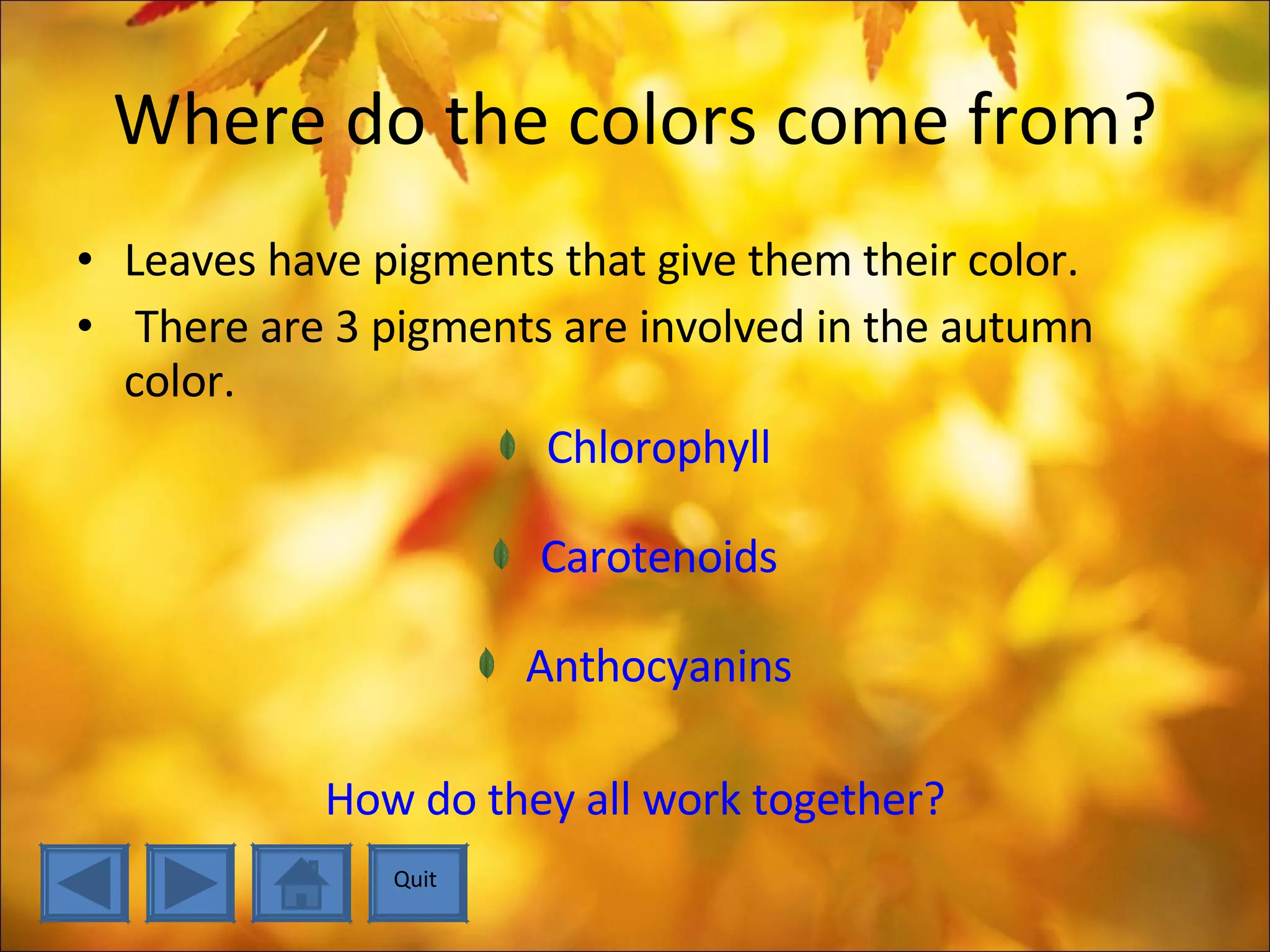 The Changing Leaves of Autumn | PPT