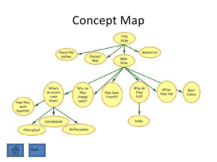 The Changing Leaves of Autumn