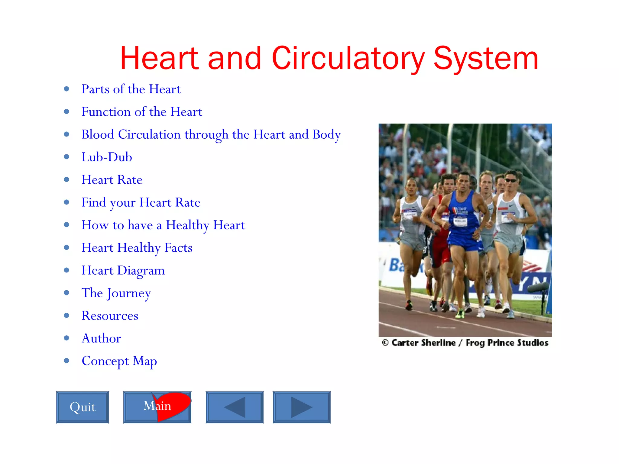 Interactive Powerpoint on the Heart | PPT
