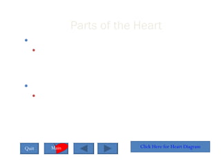 Interactive Powerpoint on the Heart | PPT